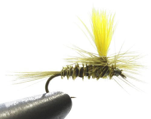 Flies Oman | Buy Online | Whizz Others