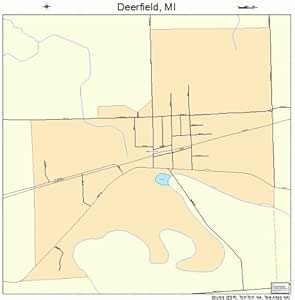 Amazon.com: Large Street & Road Map of Deerfield, Michigan MI - Printed ...