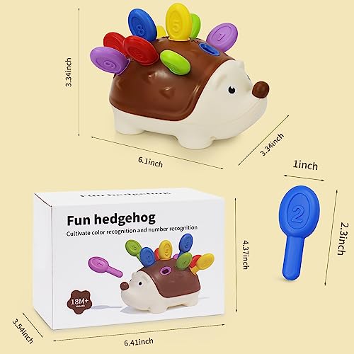 HCFJEH Toddler Montessori Sensory Educational Hedgehog Toys for 18 ...