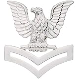 Amazon.com : Vanguard Navy Cap Device: E5 Petty Officer Second Class ...