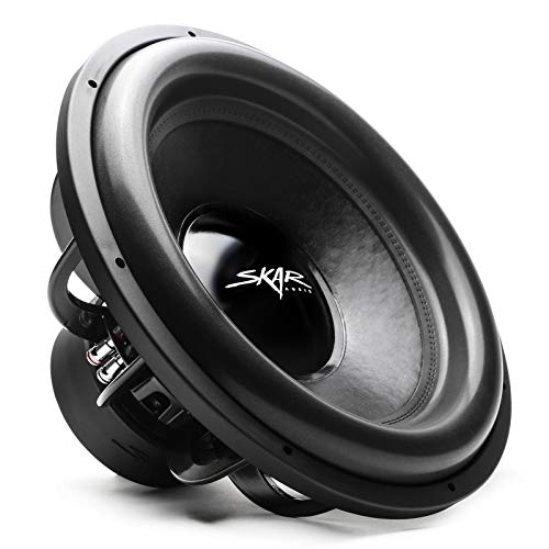 SKAR AUDIO SDR-10 D2 10" 1200 WATT MAX POWER DUAL 2 OHM CAR SUBWOOFER ...