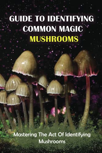 Buy Guide To Identifying Common Magic Mushrooms: Mastering The Act Of ...