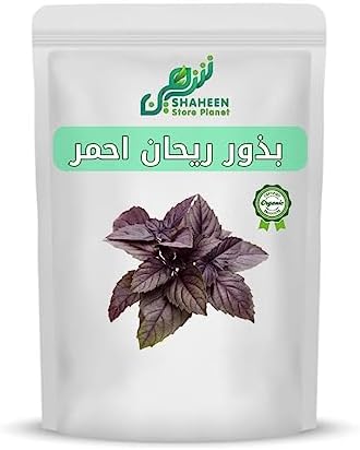 Night Basil Seeds - Purple (Red Rubin Basil) 30 Seeds price in Egypt ...