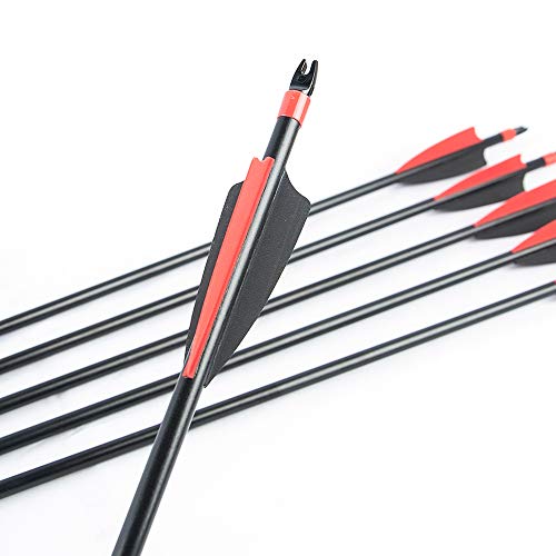 TOPOINT ARCHERY 30 inch Carbon Arrows with Removable Tips, Practice ...