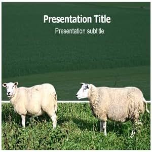 Amazon.com: Sheep Farming Powerpoint (Ppt) Templates - Sheep Farming ...