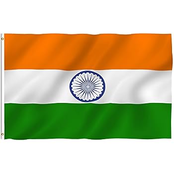 Amazon.com : India 3ft x 5ft Printed Polyester Flag : Garden & Outdoor