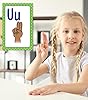 Carson Dellosa Sign Language Posters, ASL Alphabet Learning American ...