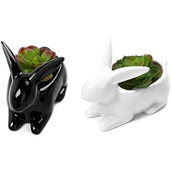 Amazon.com : Decorative Bunny Rabbit Design White Mini Ceramic Plant ...