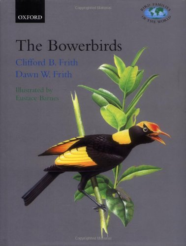 Amazon.com: The Bowerbirds: Ptilonorhynchidae (Bird Families of the ...
