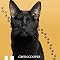 Homer: The Ninth Life of a Blind Wonder Cat: Cooper, Gwen ...