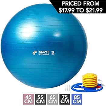 Amazon.com: CalCore Fitness Brand Professional Physio Ball Chair for ...