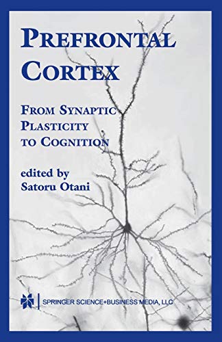 Prefrontal Cortex: From Synaptic Plasticity to Cognition: 9781441954350 ...