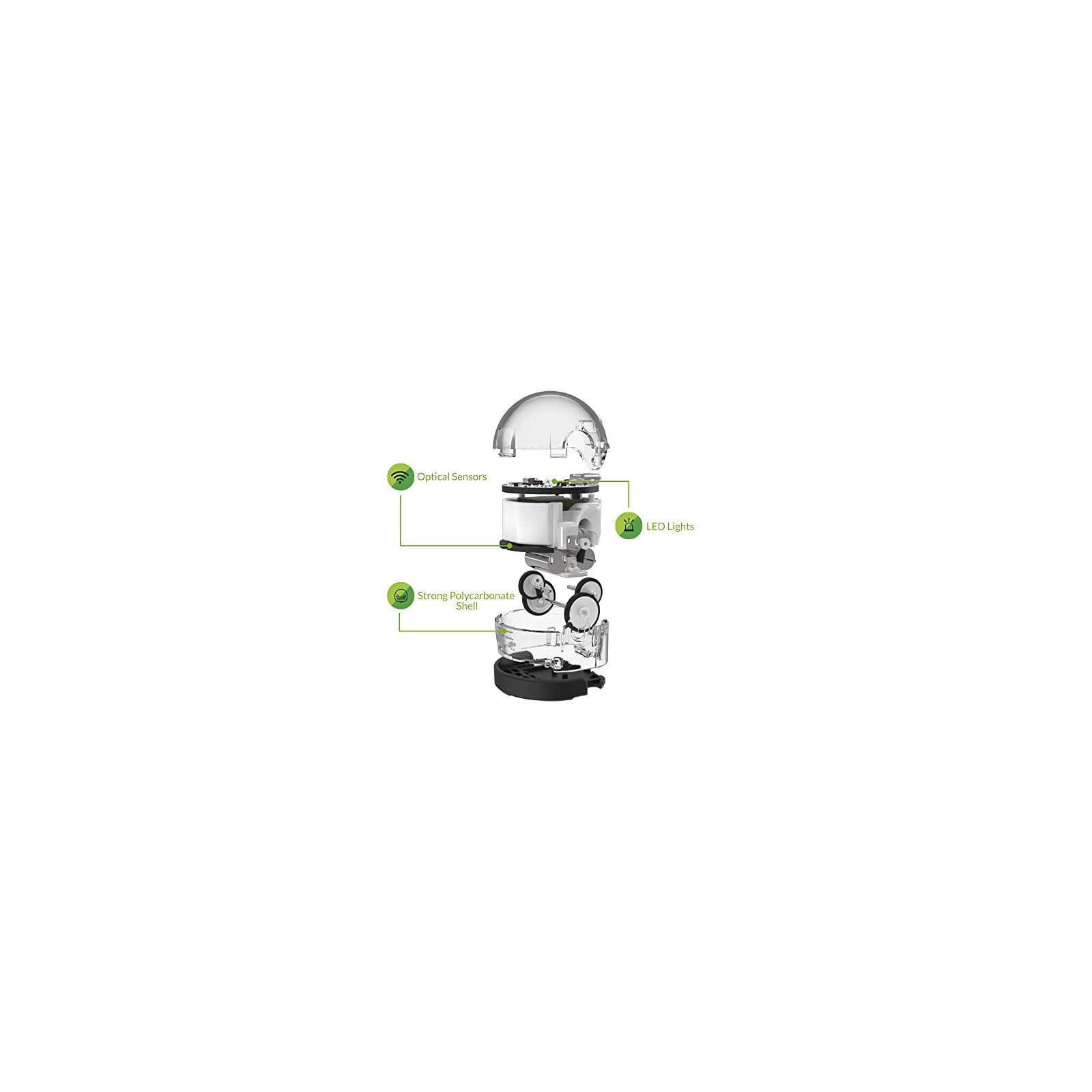Bit Coding Robot