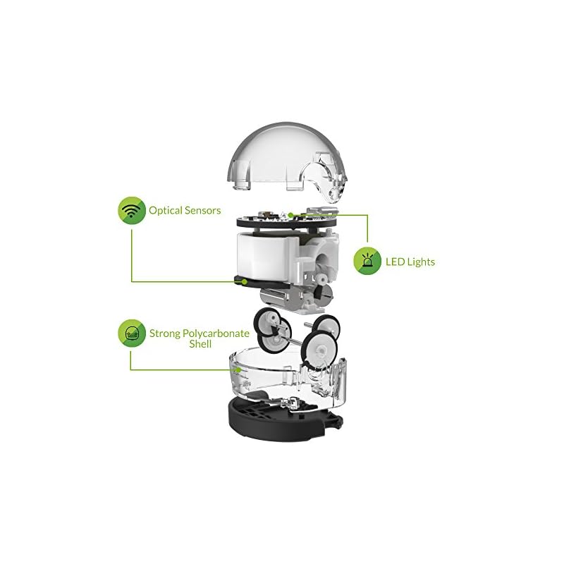 Bit Coding Robot