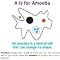 ABCs of Science: The Essential ABC Board Book of First STEM Words from ...