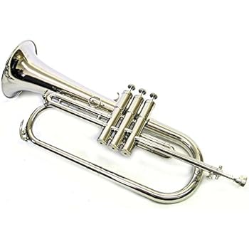 Amazon.com: Tromba Pro Professional Plastic Bb Flugelhorn, Golden ...