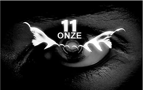 ONZE - eBook, Resumo, Ler Online e PDF - por Santos, Vitor