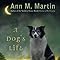 A Dog's Life: Autobiography of a Stray: Ann M. Martin: 9780439717007 ...