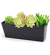Amazon.com : Flower Boxes, GREANER 3 Pack 12x3.8 Inch Rectangle Window ...