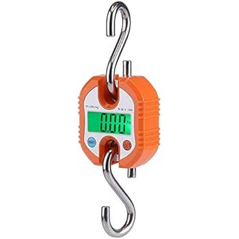Amazon.com: Digital Hanging Hook Scale for Fishing, with Backlit LCD ...