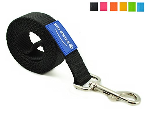 How To Pick The Best Dog Leash, For Everyday Use Or Training