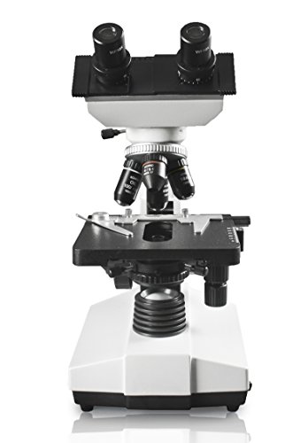 Buy Vision Scientific VMU0007 Binocular Compound Micro, 10x WF Eyepiece ...