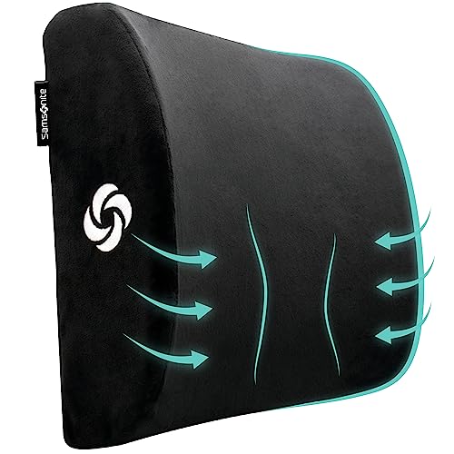 SAMSONITE, Premium Plush Lumbar Support Pillow for Chair - Elevates ...