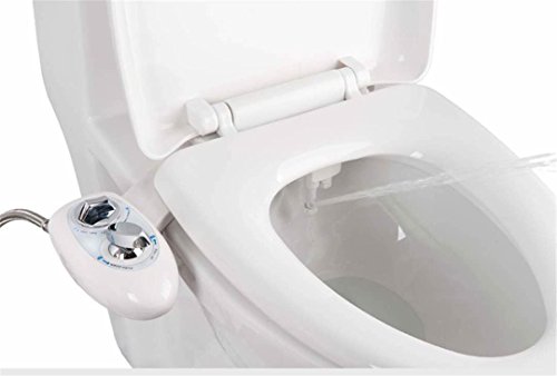 Best Home Bidet: Flushing the Bad Ones Out – AdvanceMyHouse.com