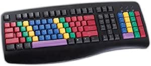 Lessonboard Color Coded Computer Keyboard to Teach Typing : Amazon.ca ...