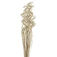Amazon.com: 24-28" Champagne Sparkle Curly Ting Ting Branch