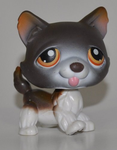 Amazon.com: Husky #174 (Dark Brown, Brown Eyes) - Littlest Pet Shop ...