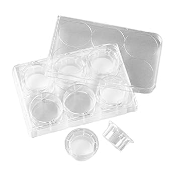 Corning Transwell 3492 Polystyrene Collagen Coated PTFE Membrane Insert ...