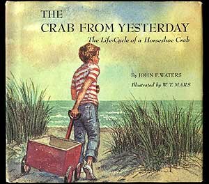 The Crab from Yesterday: The Life-Cycle of a Horseshoe Crab Book Review ...