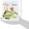Amazon.fr - Pilotin - Lionni, Leo - Livres
