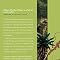 Darwinia: A Novel of a Very Different Twentieth Century: Wilson, Robert ...