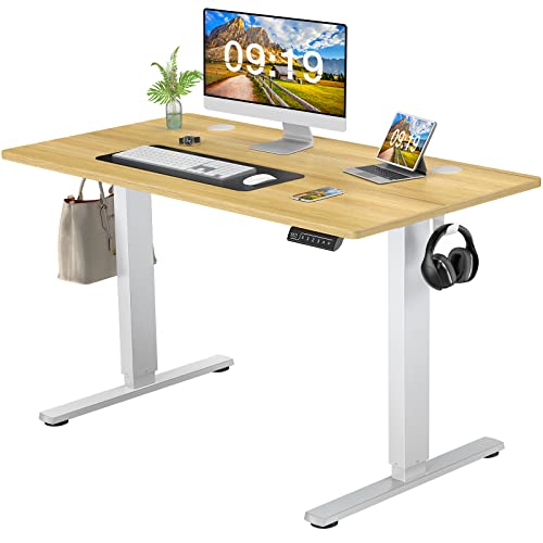Sweetcrispy Electric Standing Desk,48 x 24in Adjustable Height Electric ...