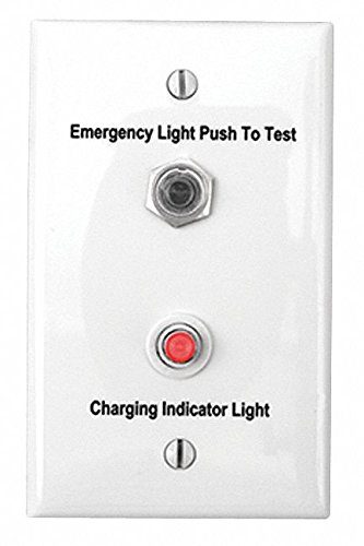 Amazon.com: Remote Test Switch, with Indicator Light: Industrial ...