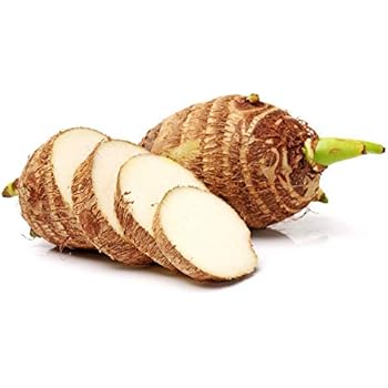 Amazon.com: READY to GROW 10 Colocasia Esculenta Elephant Ear Taro Poi ...
