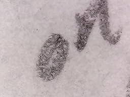 Amazon.com : XCSOURCE 20X-800X 8 LED USB 3D Digital Zoom Microscope ...