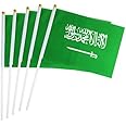 Amazon.com: 25 Pack Hand Held Small Mini Flag Saudi Arabia Saudi ...
