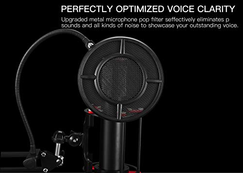 Mic Pop Filter, Professional Metallic Mic Pop Filter Mesh for Blue Yeti ...