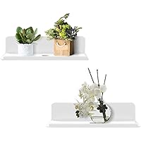 Sezanrpt 9 Inch Clear Wall Shelf, Acrylic Small Floating Shelf for Wall, Home Wall Display ...