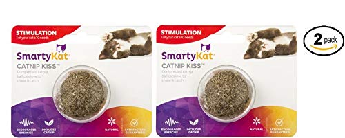 SmartyKat Cat Toys | Toyscat