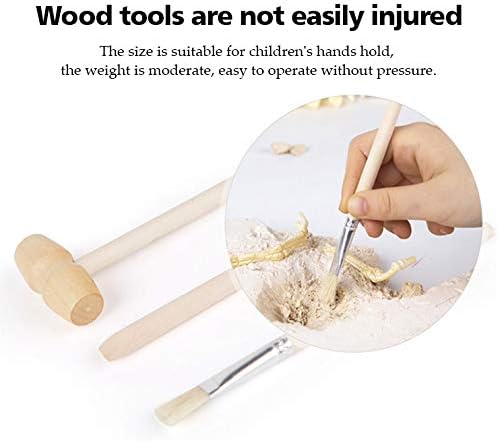 Powerking Dinosaur Fossil Dig kit, Dig and Discover Jurassic Dinosaur ...