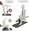 Didactica3d, Correct Lifting Model, Demonstration Figure, Anatomy ...