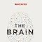 The Brain: Everything You Need to Know : New Scientist: Amazon.co.uk: Books