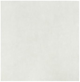 Fisherbrand Low-Nitrogen Weighing Paper, 4 x 4 in. (76 x 76mm): Science ...