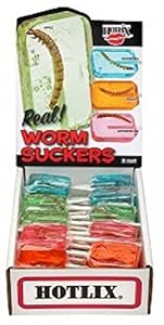 Amazon.com : Hotlix Worm Sucker Box of 36 Real Insect Bug Candy ...