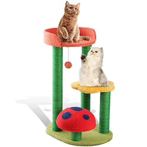 The Best Mushroom Cat Trees - CatTime