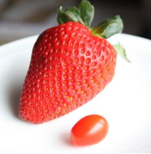 سعر بذور فراولة عملاقة من الفاكهة العضوية غير المعدلة وراثيا من 50 قطعة ...